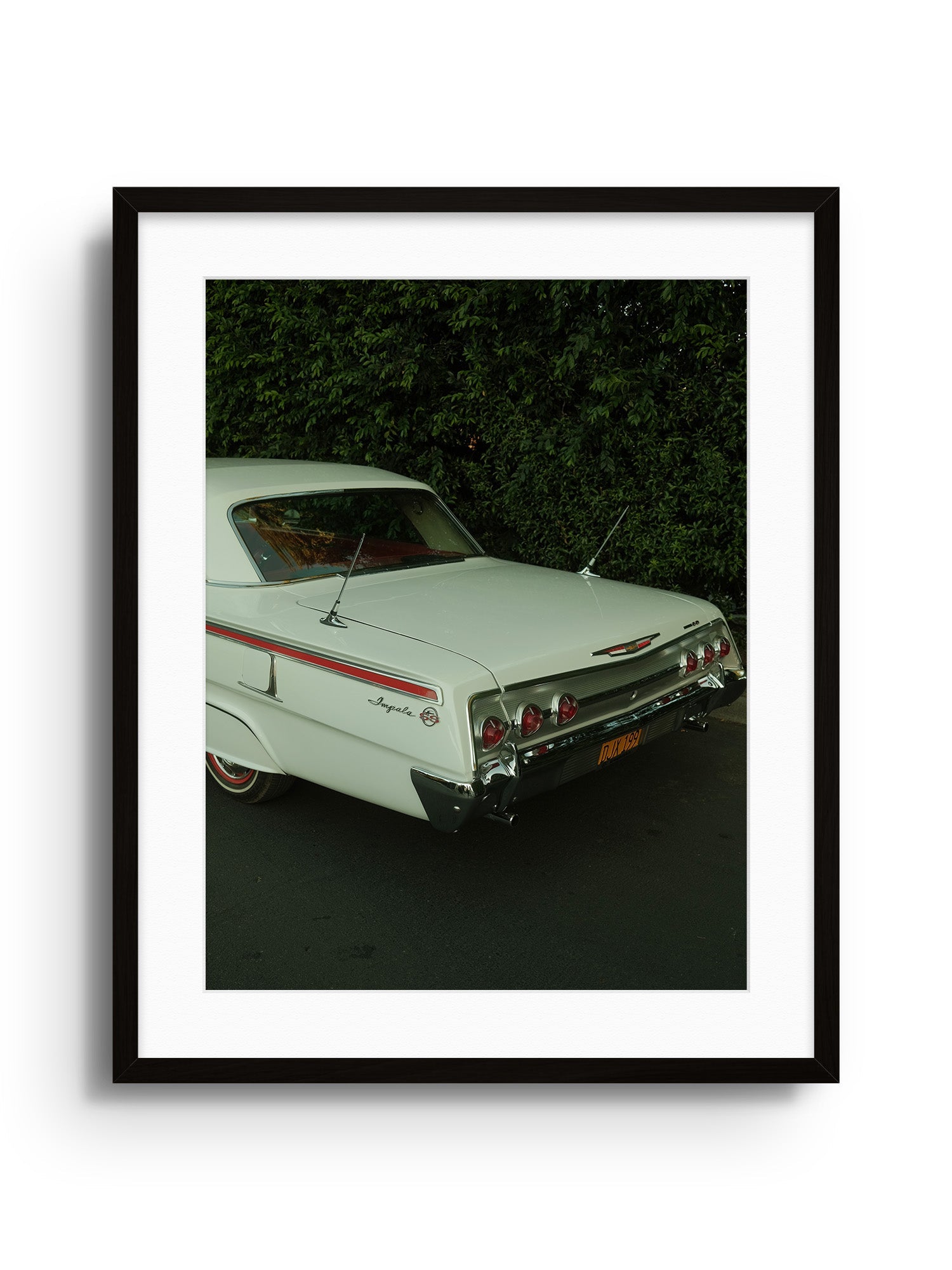 Vintage Photography Art Print - Impala Mama by Gelstang | East Side ...